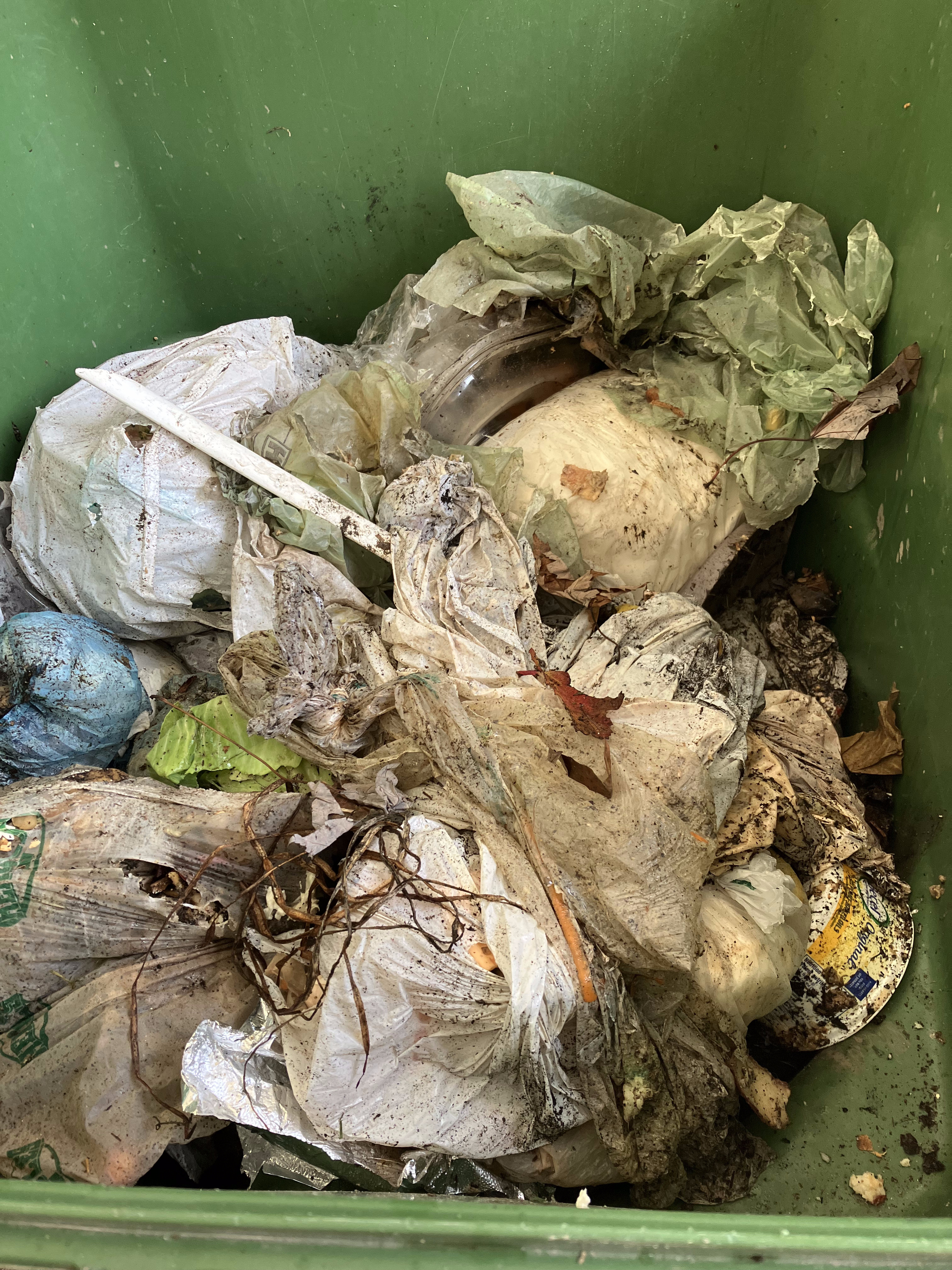 COMPOST | Des intrus dans le bac 🚫 - Ville de Chibougamau