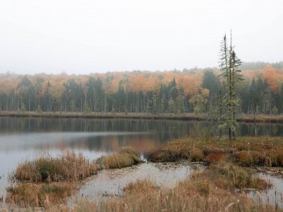 Grand-Remous en images - Municipalité de Grand-Remous