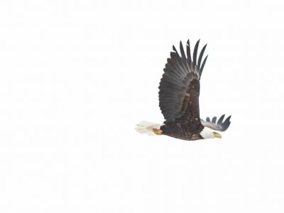 Grand-Remous en images - Municipalité de Grand-Remous