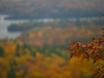 Grand-Remous en images - Municipalité de Grand-Remous