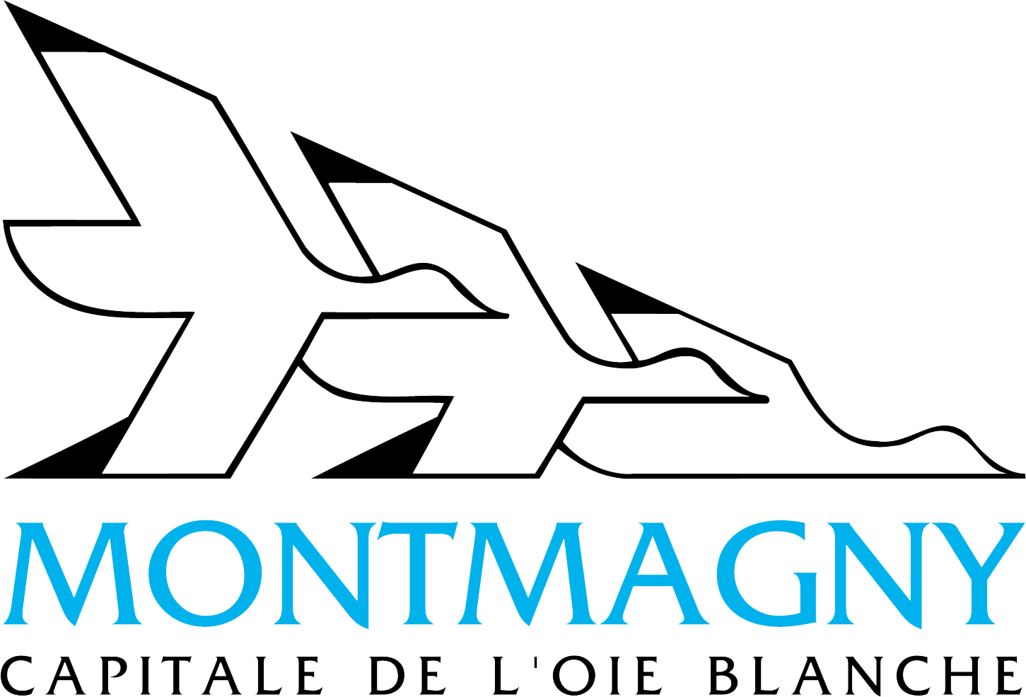 Accueil - Ville de Montmagny