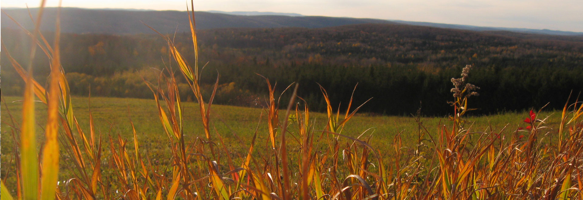 Conseil municipal - Municipalité de Saint-Juste-du-Lac